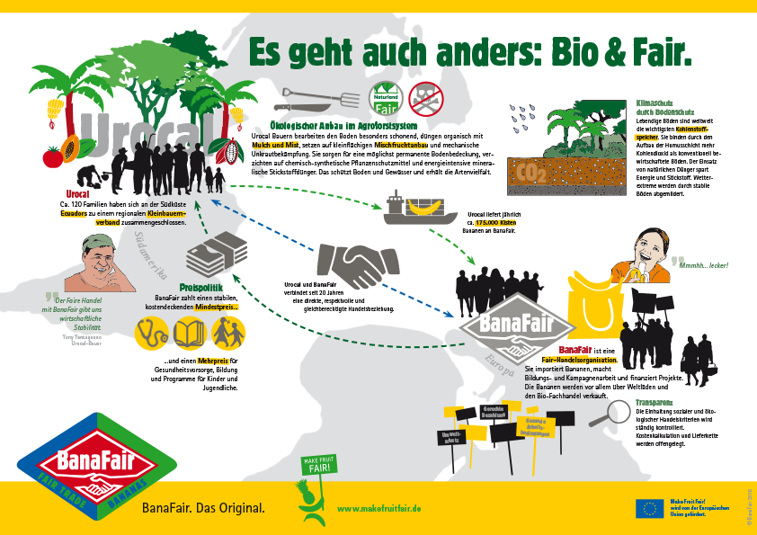 Bio & Fair - Woher kommen unsere Bananen? - Weltladen Mannheim Bio & Fair - Woher kommen unsere Bananen? - Weltladen Mannheim